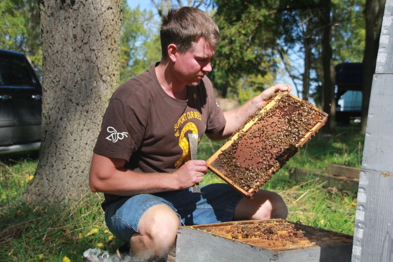 Chemicals blamed for heavy bee losses | Chatham Daily News