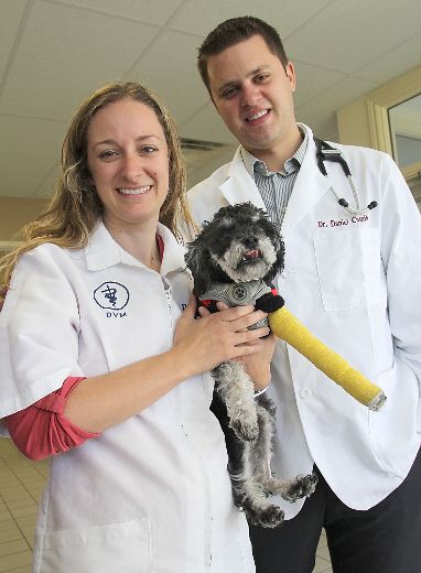 Four-legged first aid | The Kingston Whig Standard