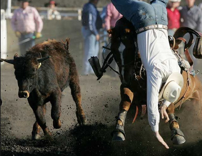 Hey, rookie (of the year) — Canadian Finals Rodeo | Edmonton Sun