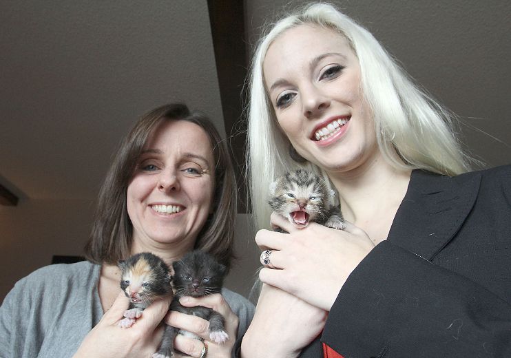 Looking for more pet foster homes | The Kingston Whig Standard