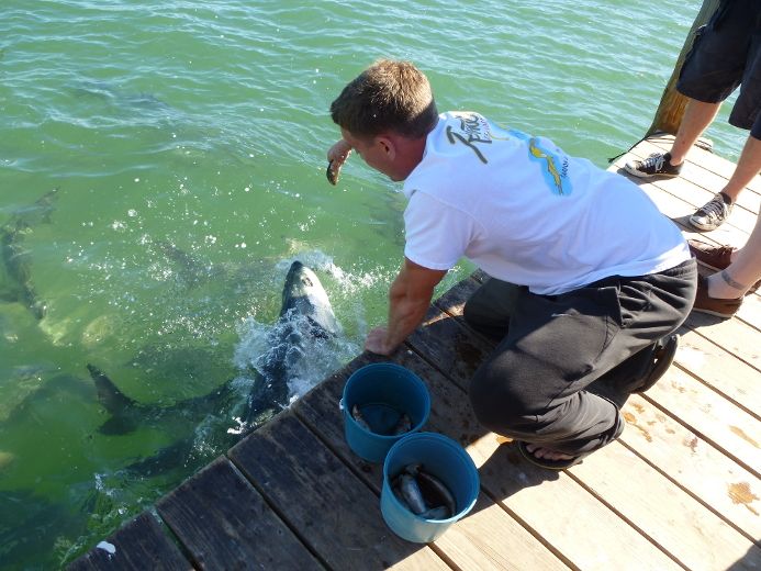 Between Miami and Key West: Florida's different vibe | Toronto Sun