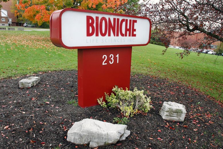 Bioniche cutting 40 workers | Belleville Intelligencer