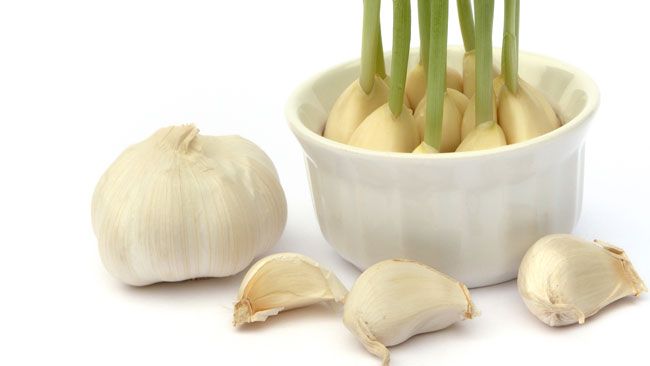 Garlic with sprouts could be better for you: Study | Toronto Sun