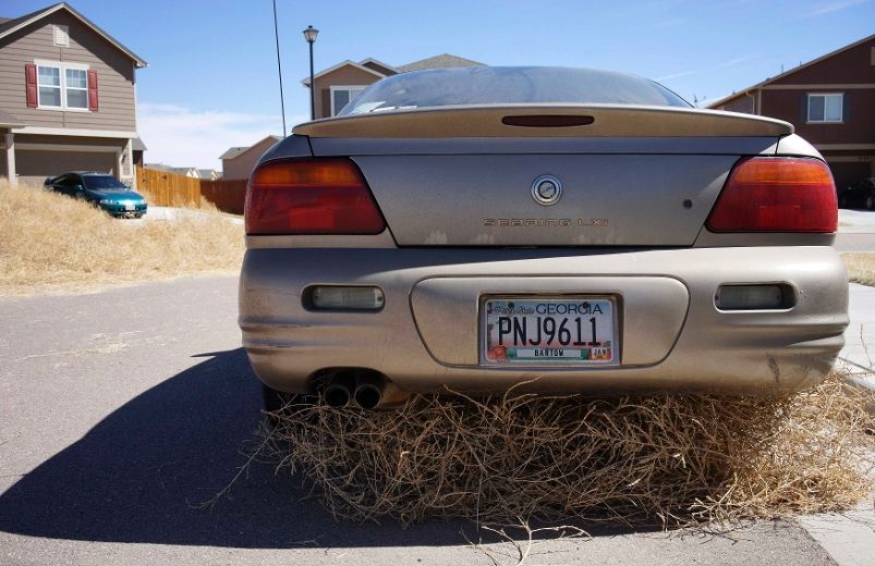 When tumbleweeds invade . . . | Toronto Sun