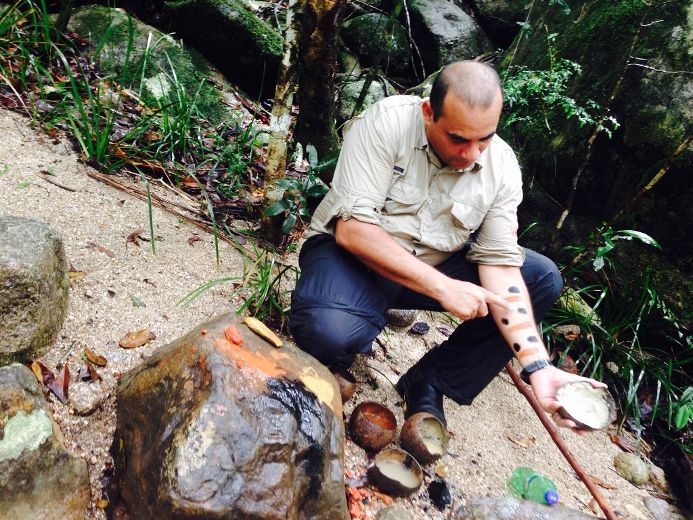 Rainforest walking tour highlights tradition in Australia | Toronto Sun