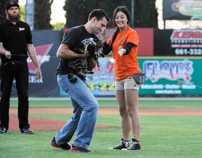 Hero cat, Tara, throws ceremonial first pitch - sort of | Toronto Sun