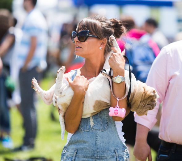 Woodbine Park goes to the dogs for Woofstock | Toronto Sun