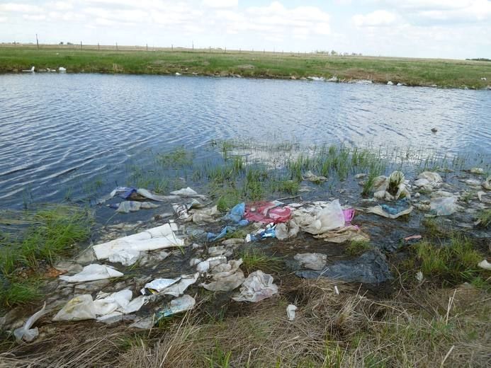 With Calgary’s trash littering rural Alberta, residents in Coronation ...