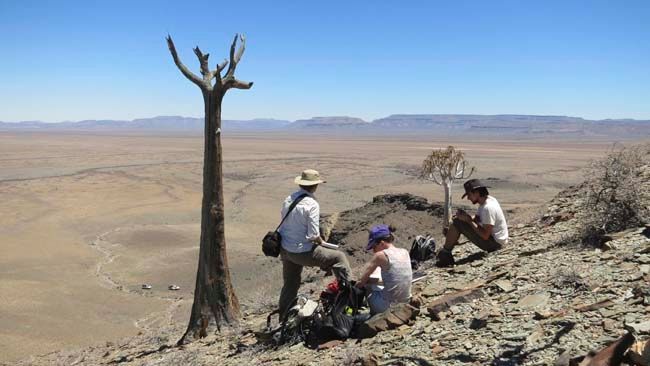 Reef madness: Scientists find oldest animal-built marine structure ...