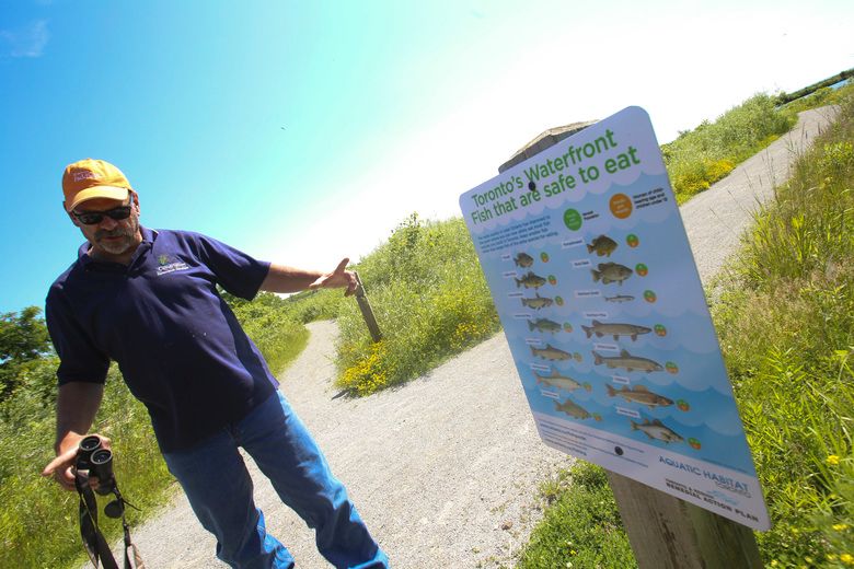 'Fish condos' springing up in Toronto | Toronto Sun