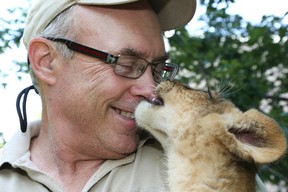 Zoo lions headed back to wilds of Africa | Toronto Sun