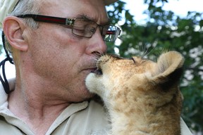 Zoo lions headed back to wilds of Africa | Toronto Sun