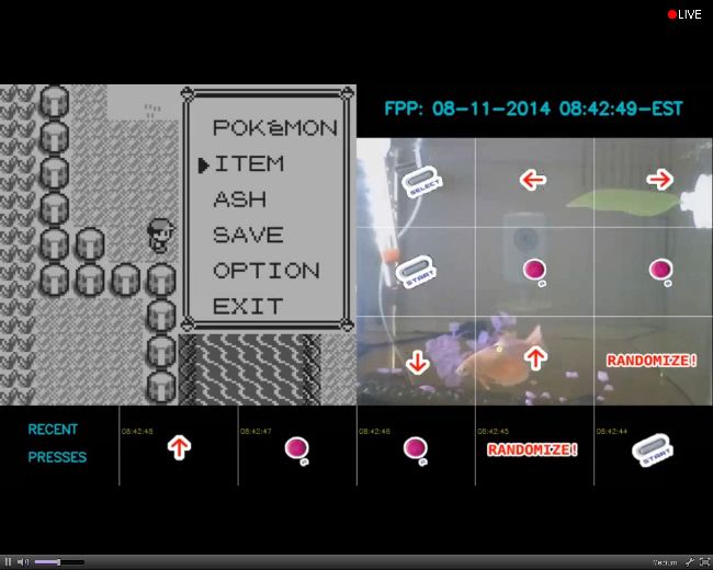 Fish plays 'Pokemon', Internet goes insane | Toronto Sun