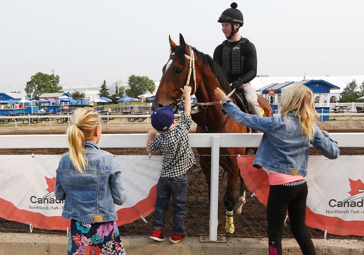 Canadian Derby an annual fascination for dedicated horse-players ...