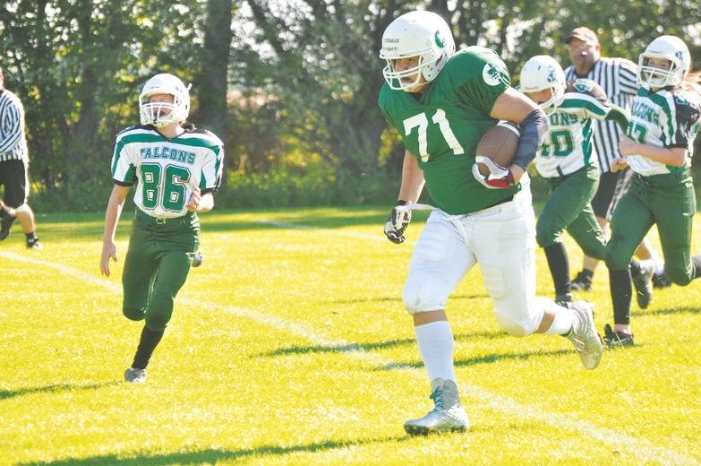 Pitbulls Week 4 recap | The Graphic Leader