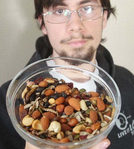 Eat bugs, save the planet | Winnipeg Sun