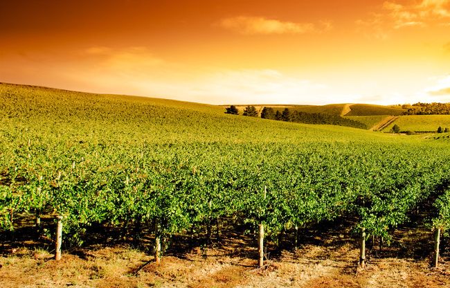 Roots featuring PEC in new ad campaign | Belleville Intelligencer