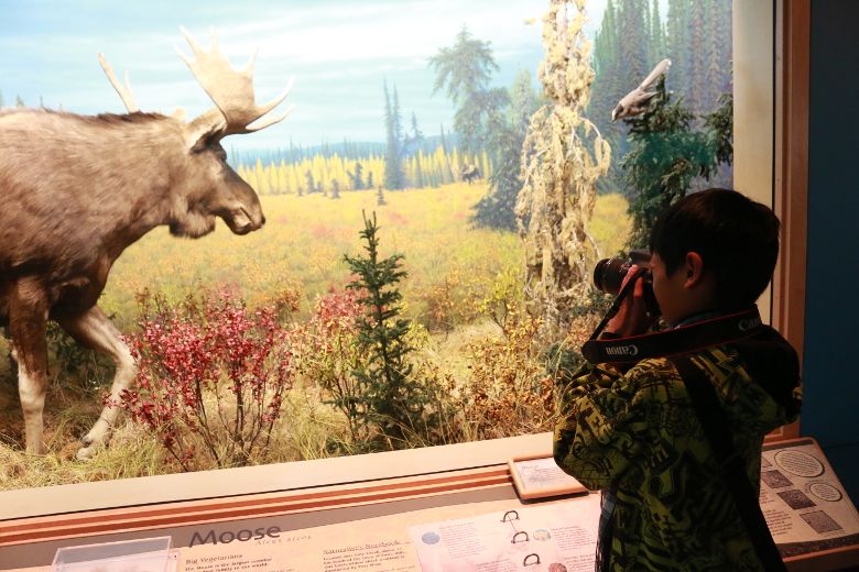 Edmonton mayor eyes old Royal Alberta Museum site for national museum ...