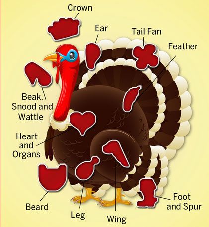 Turkey Operation game tests your skills | Toronto Sun