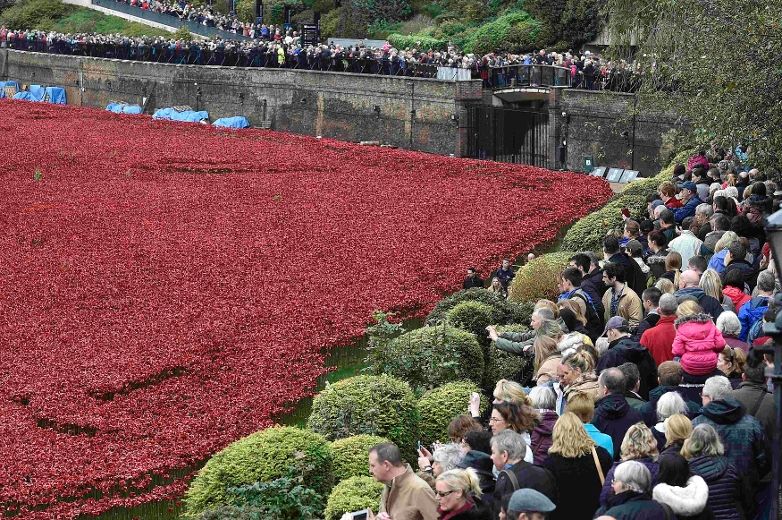 Tower of London poppy display takes on life of its own | Toronto Sun