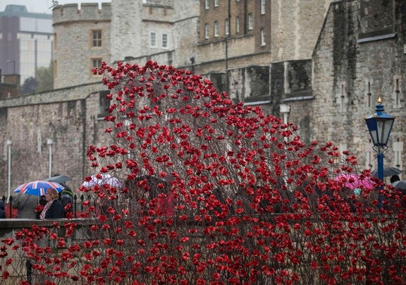 Tower of London poppy display takes on life of its own | Toronto Sun