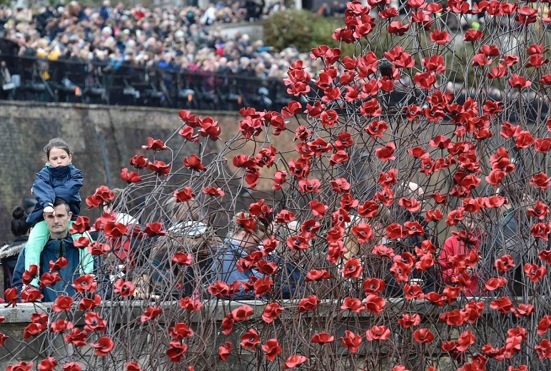 Tower of London poppy display takes on life of its own | Toronto Sun