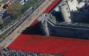 Tower of London poppy display takes on life of its own | Toronto Sun