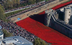 Tower of London poppy display takes on life of its own | Toronto Sun