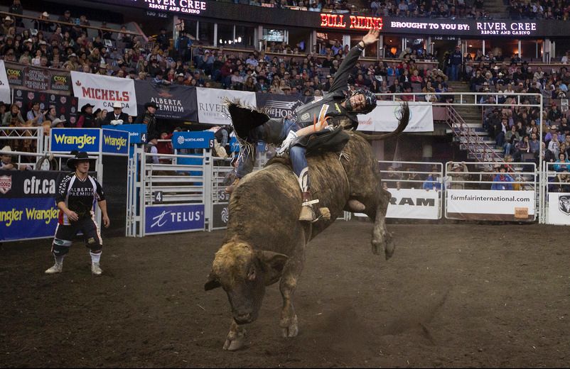 Steers have their way on night 2 of Canadian Finals Rodeo | Edmonton Sun