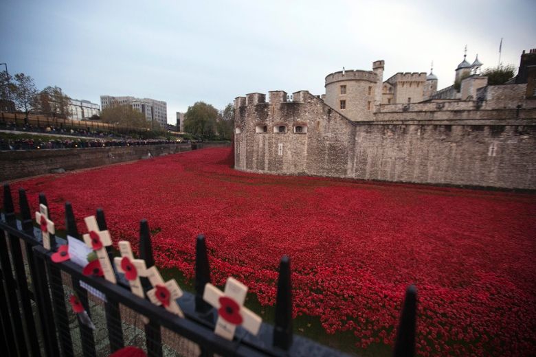 Tower of London poppy display takes on life of its own | Toronto Sun