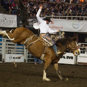 Buttar runs away with bull riding title at Canadian Finals Rodeo ...