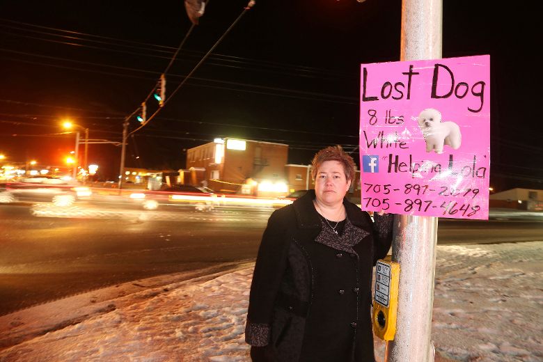 Val Caron woman won't give up search for Lola | Sudbury Star