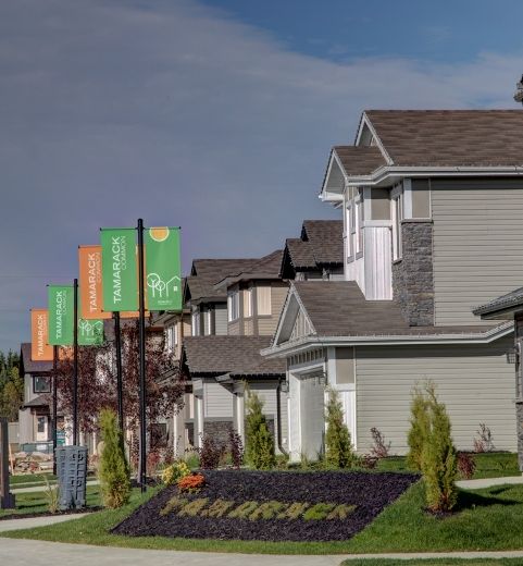 Something for all in Tamarack Common | Edmonton Sun