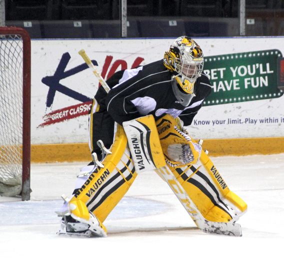 Sarnia Sting and Owen Sound attack collide for the first time on Friday ...