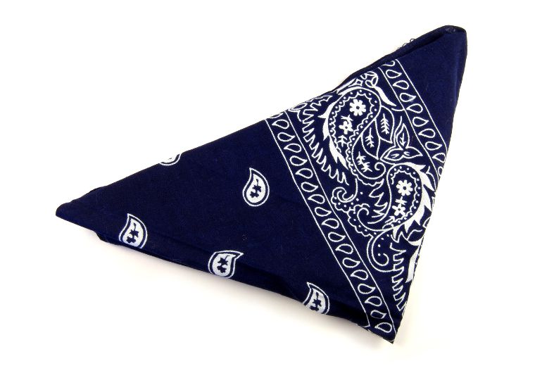 Clemson fraternity suspended over gang-themed 'Cripmas' party | Toronto Sun