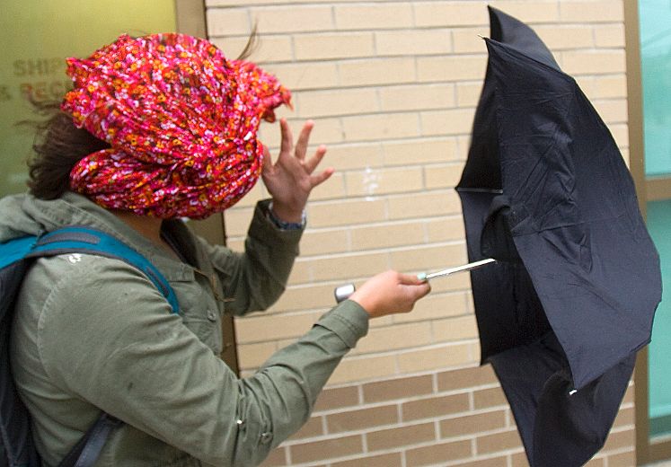 Much of eastern Canada in for a wet and windy Christmas | Toronto Sun