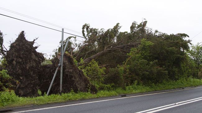 Fifth person dies after devastating Mississippi tornadoes | Belleville ... Fifth person dies after devastating Mississippi tornadoes | Belleville ...