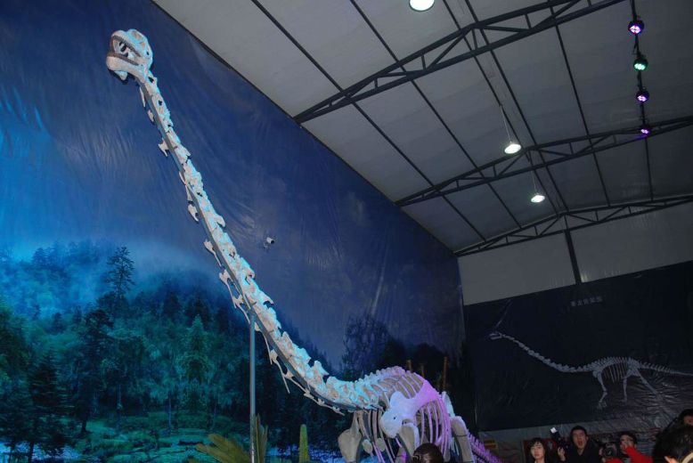 University of Alberta dino researchers find a ‘dragon’ in China ...