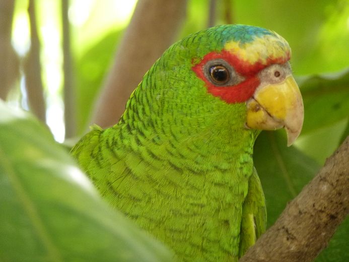 Rugged and real: Huatulco an authentic slice of Mexico | Toronto Sun