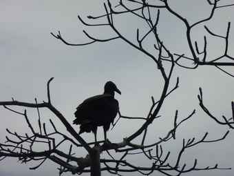 Rugged and real: Huatulco an authentic slice of Mexico | Toronto Sun