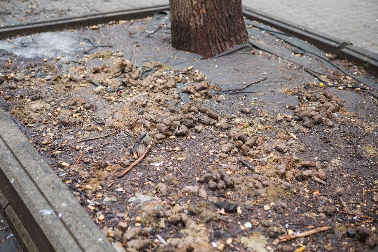 Tory should have gone to a TCHC building in crisis | Toronto Sun