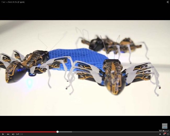 Bionic ants could be tomorrow's factory workers | Toronto Sun