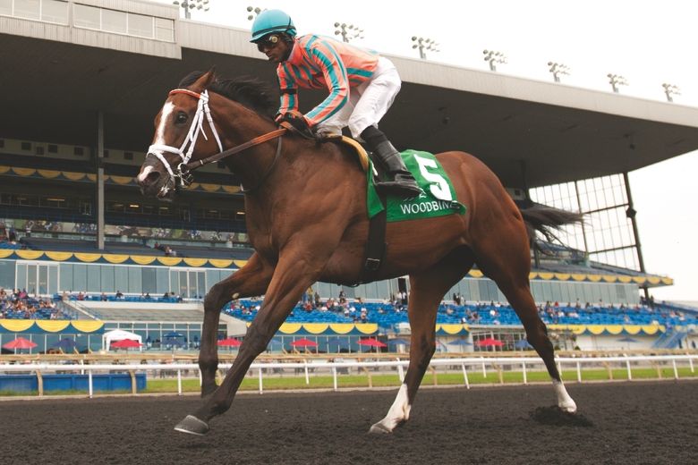 Stable owners out for a Conquest | Toronto Sun