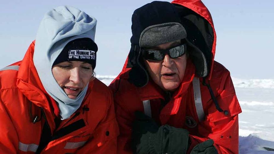 Paul McCartney urges Canadian officials to end seal cull | Toronto Sun