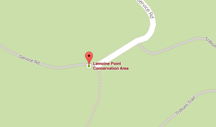 Lemoine Point hosts tree-planting | The Kingston Whig Standard