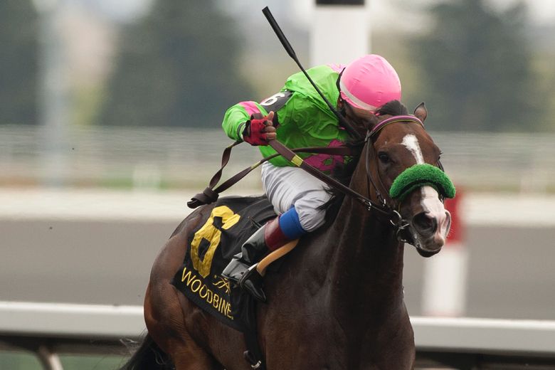 Woodbine jockey Ramsammy back on track | Toronto Sun