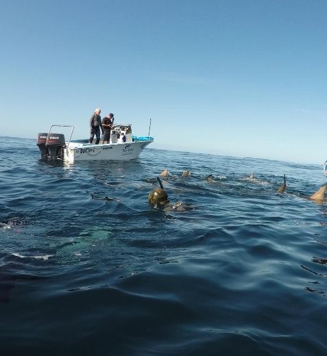Canadian 'spearfishing huntress' fights stereotypes with social media ...
