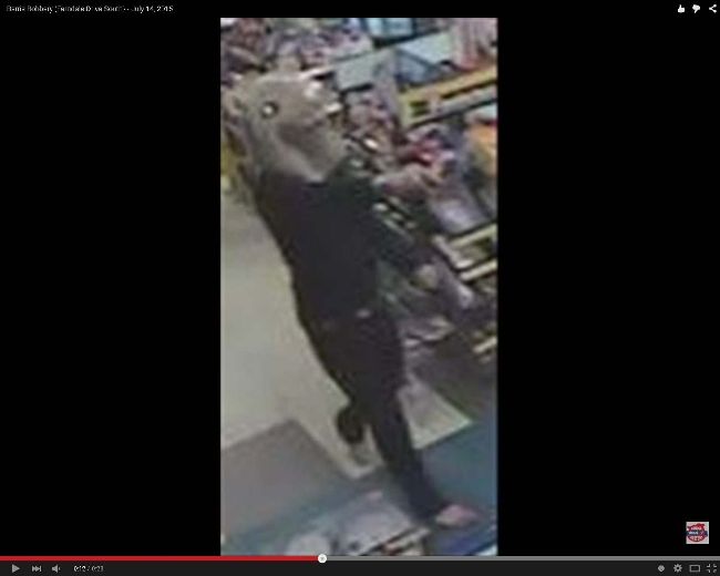 Mouse bandit still not in trapped | Toronto Sun