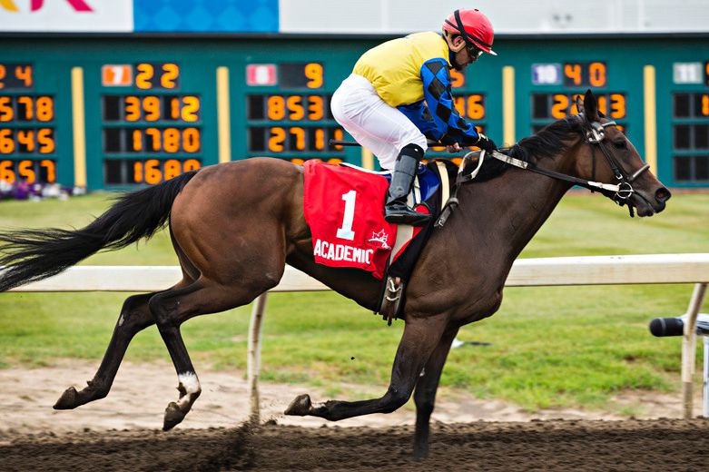 Academic first filly to win Canadian Derby since 2003 | Edmonton Sun