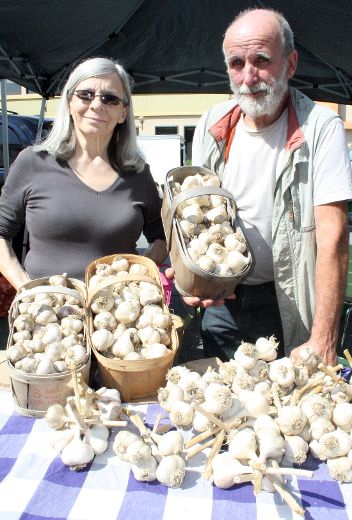 Photos: Garlic Festival | Sudbury Star